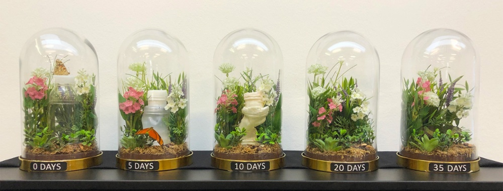 Five innovative packages for sustainably packaged products